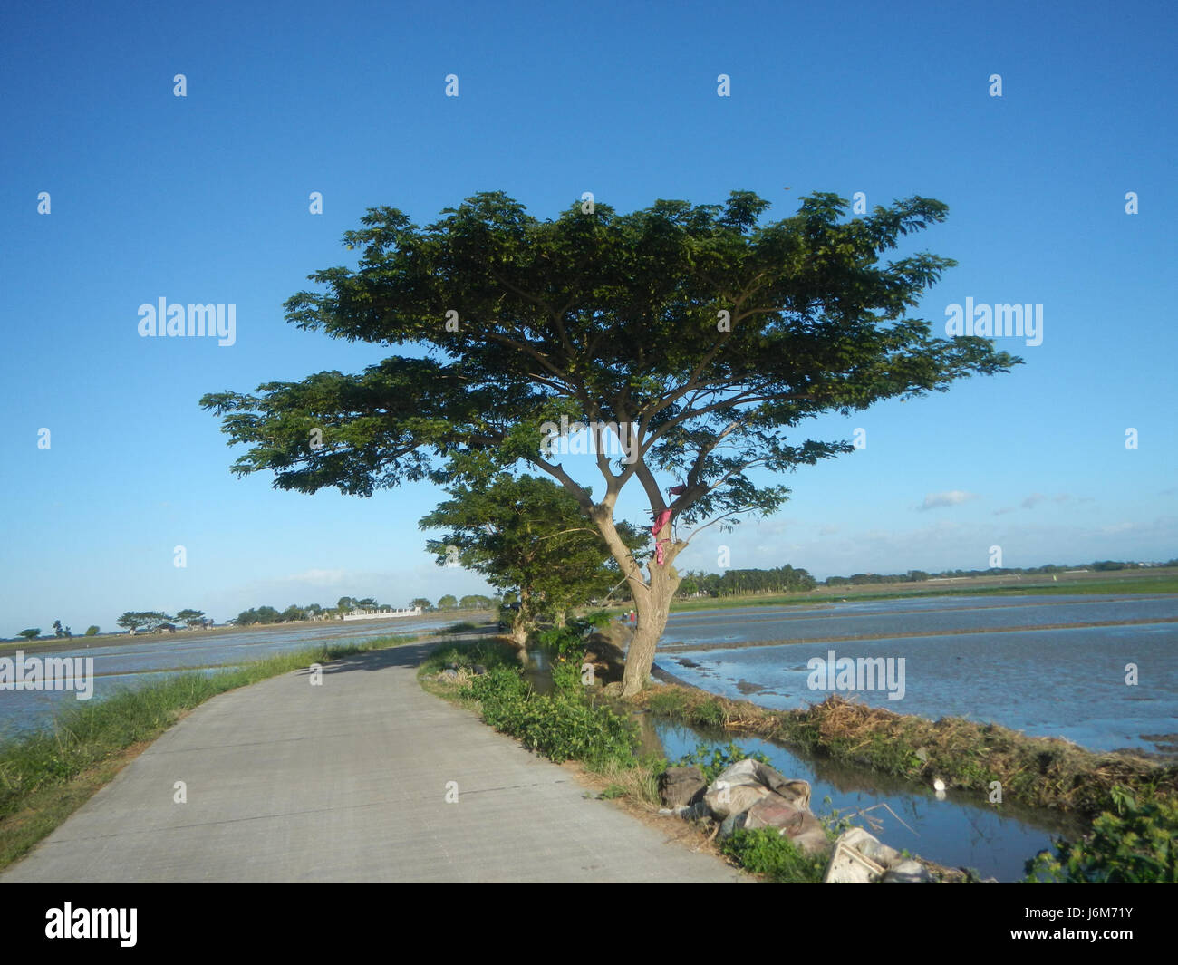 The image depicts the rural agricultural landscape of Balucuc, Apalit ...