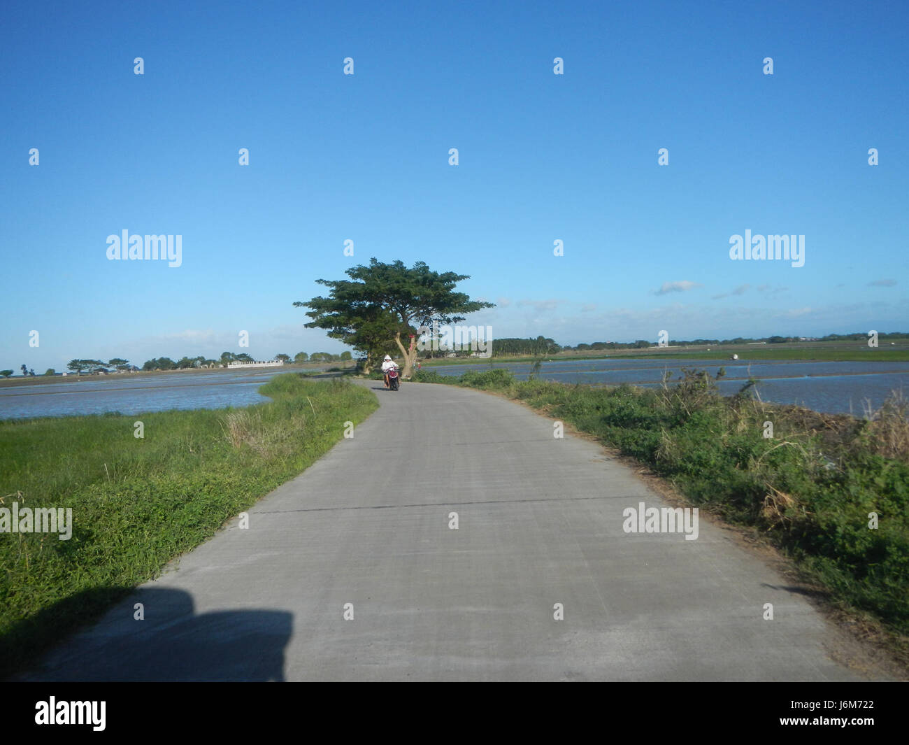The area near Balucuc, Apalit, Pampanga features expansive paddy fields ...