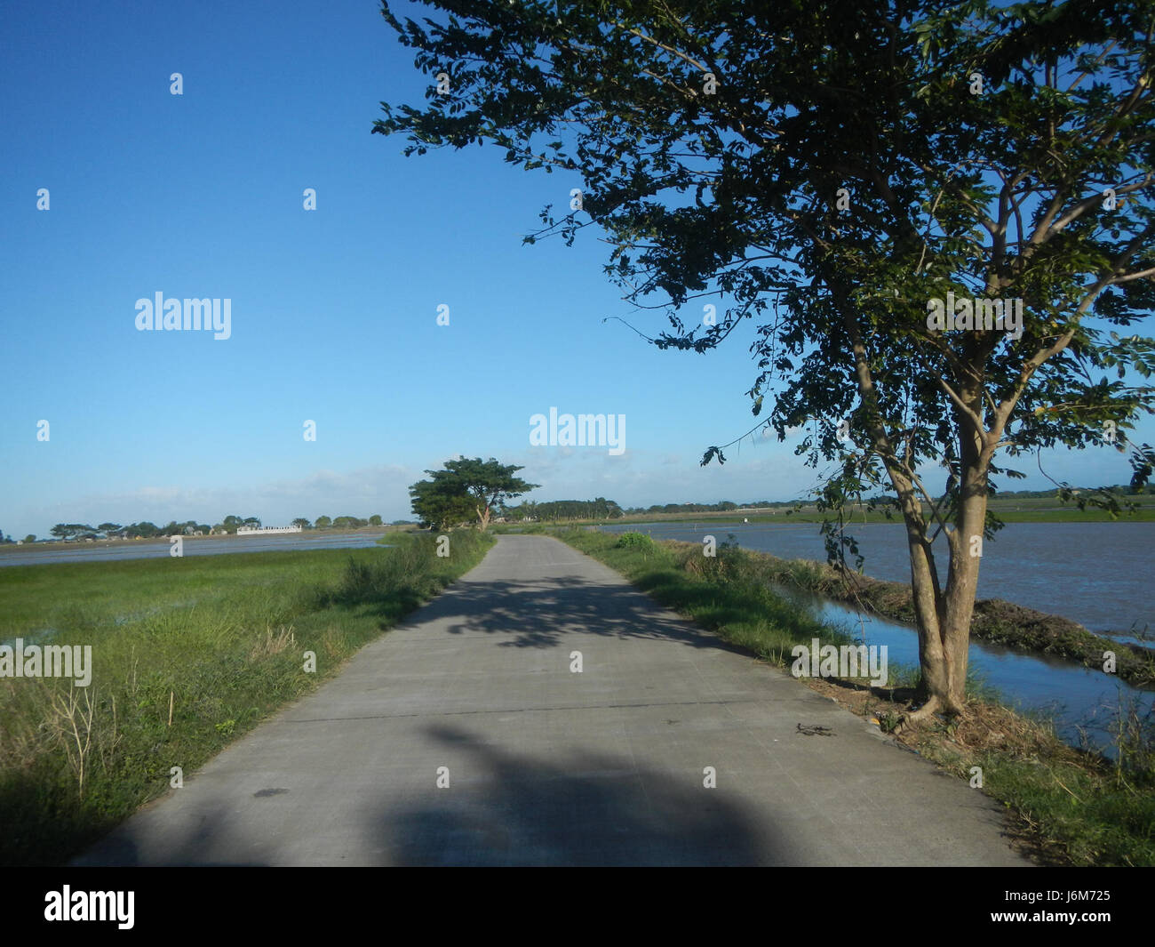 09150 Balucuc Apalit Pampanga paddy fields grasslands trees Roads 18 ...