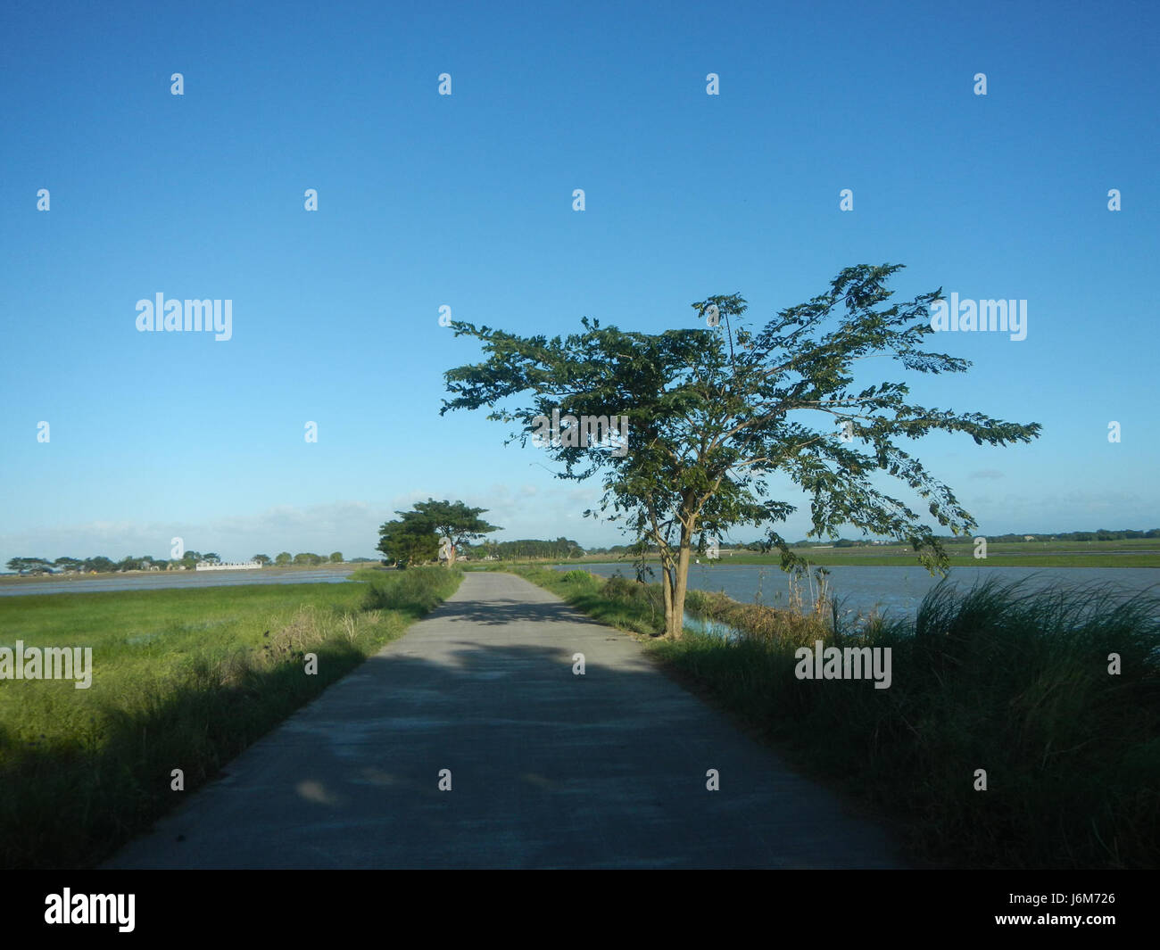 This historical image of Balucuc, Apalit, Pampanga from 1925 captures ...