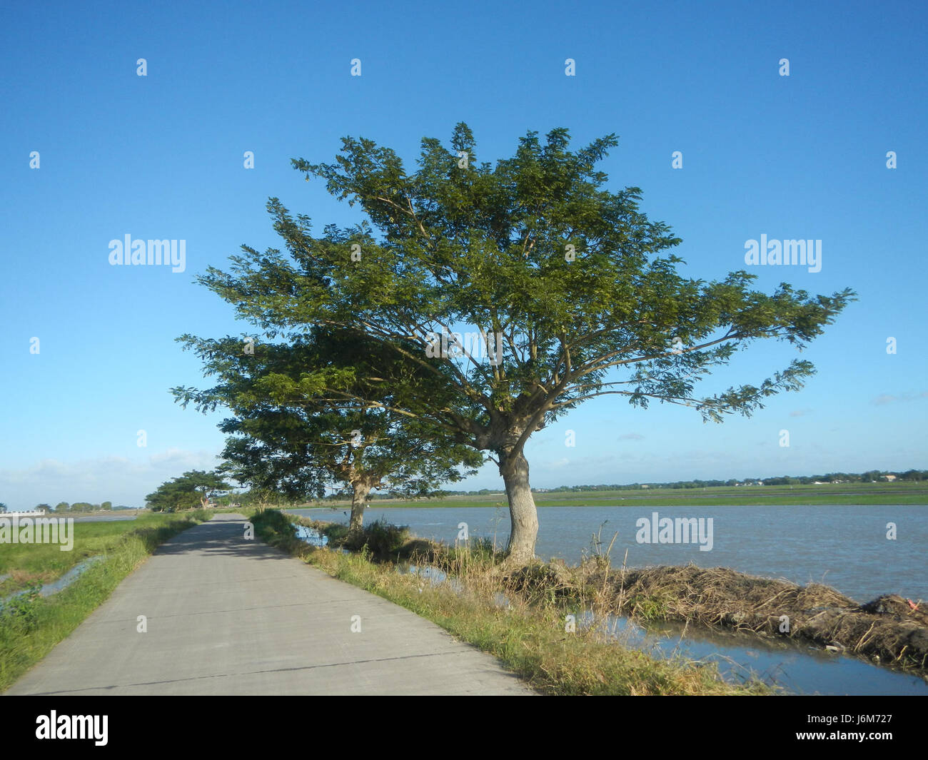 A scene depicting the rural landscape of Balucuc, Apalit, Pampanga ...