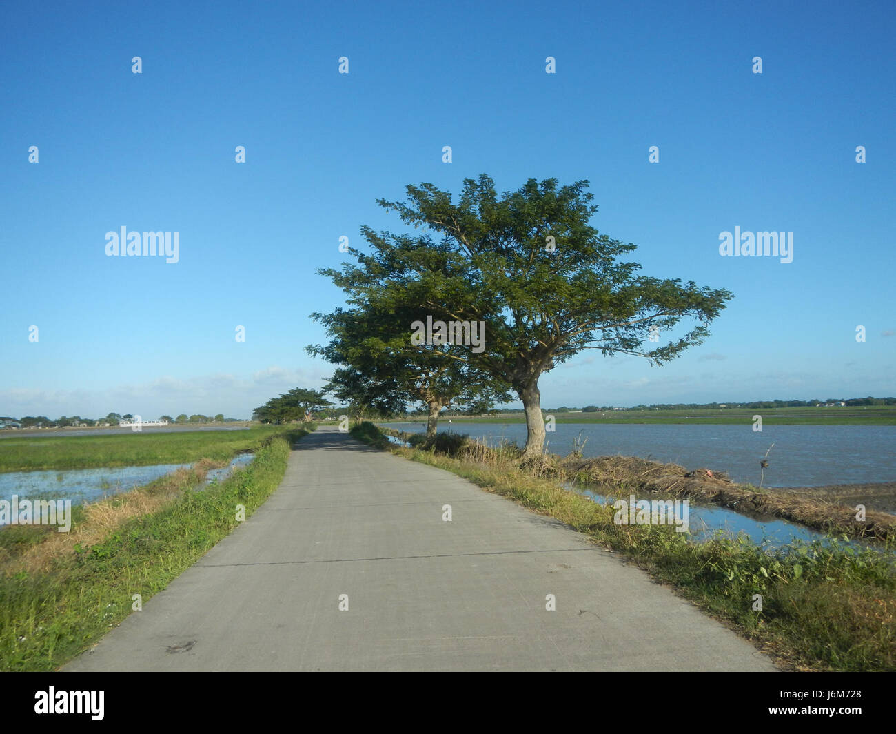 This image captures the landscape of Balucuc, Apalit, Pampanga ...