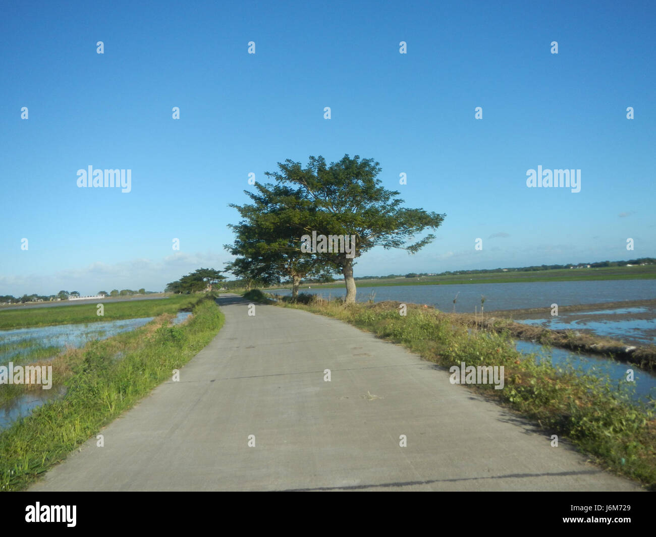 09150 Balucuc Apalit Pampanga paddy fields grasslands trees Roads 22 ...
