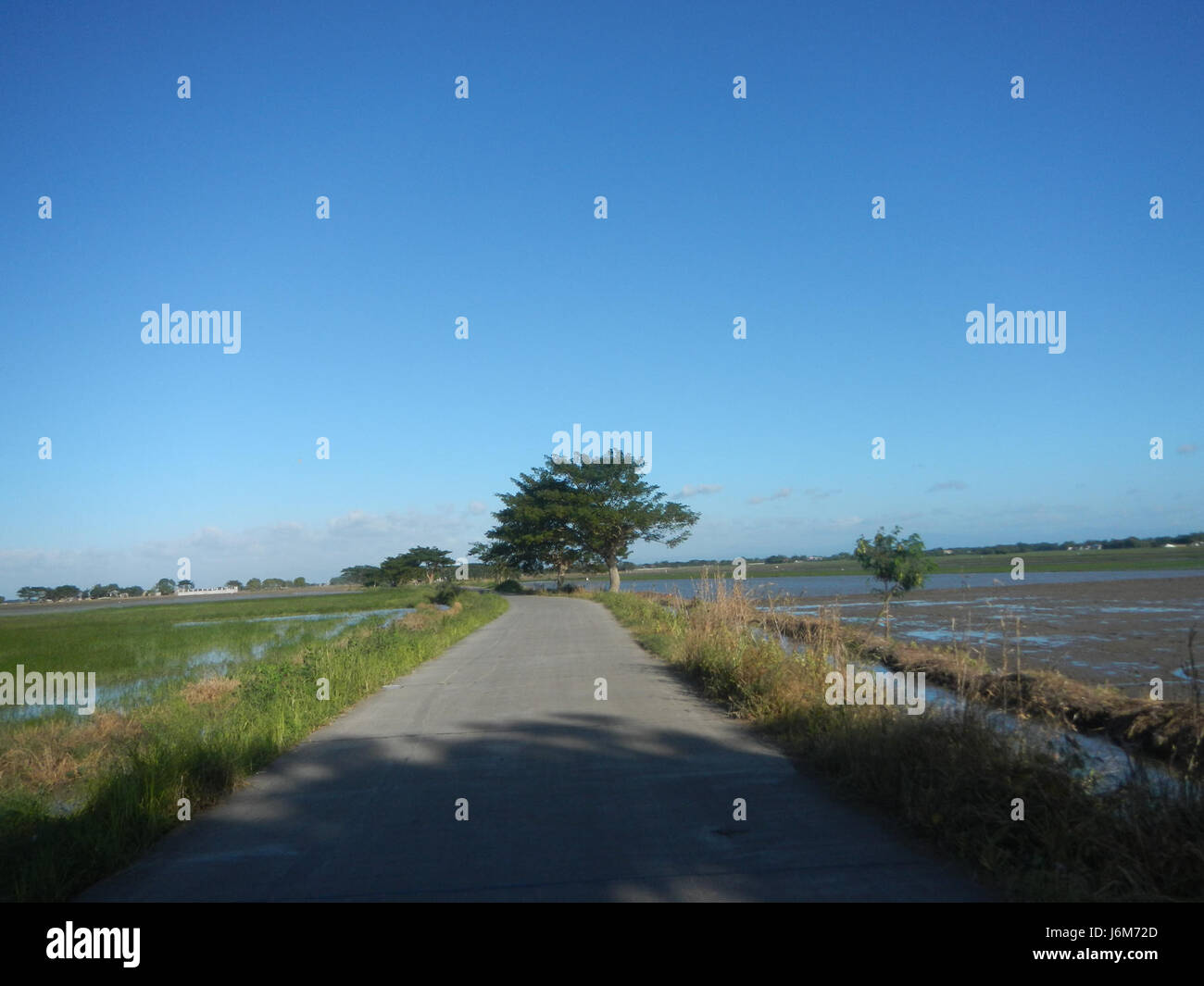 This photograph depicts the rural landscape of Balucuc in Apalit ...