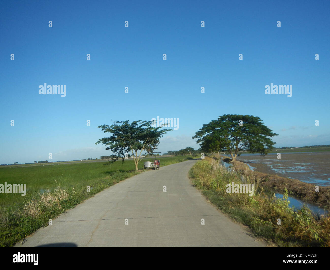 09178 Balucuc Apalit Pampanga paddy fields grasslands trees Roads 02 ...