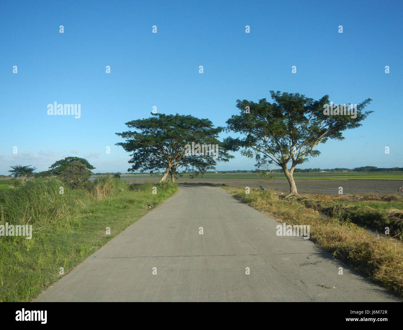 This image shows the paddy fields and grasslands of Balucuc, Apalit ...