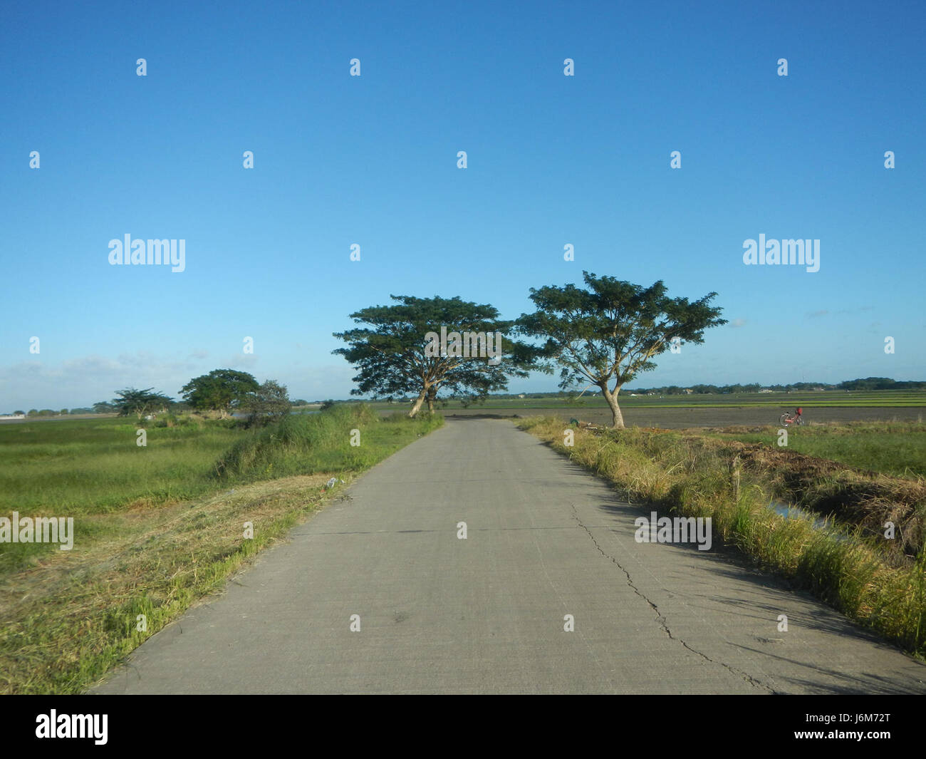 This image depicts the paddy fields, grasslands, and trees in Balucuc ...