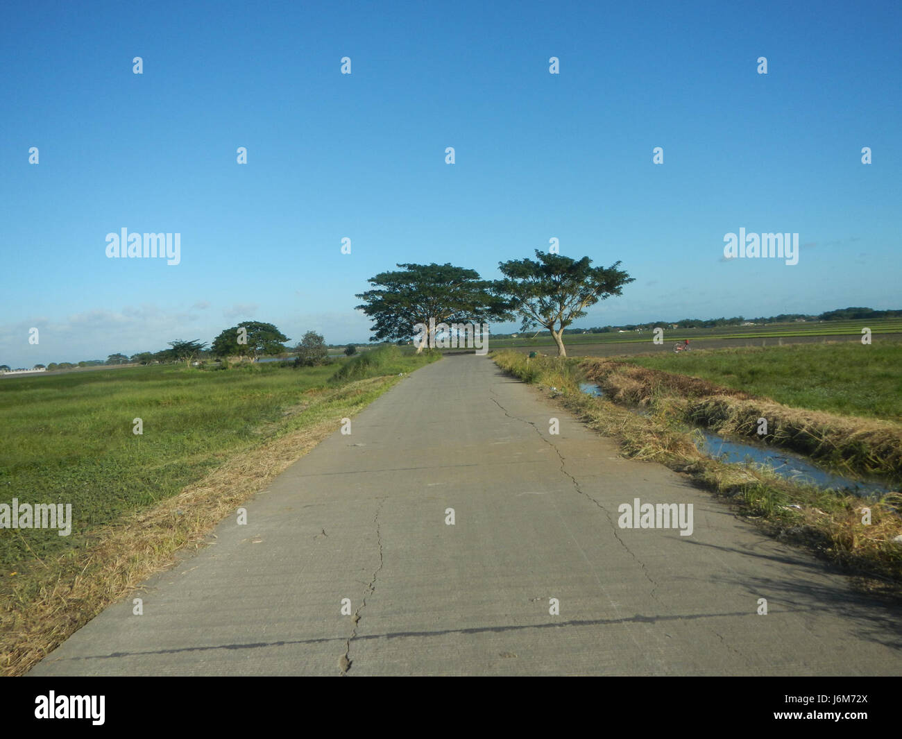 This image captures the agricultural landscape of Balucuc, Apalit in ...