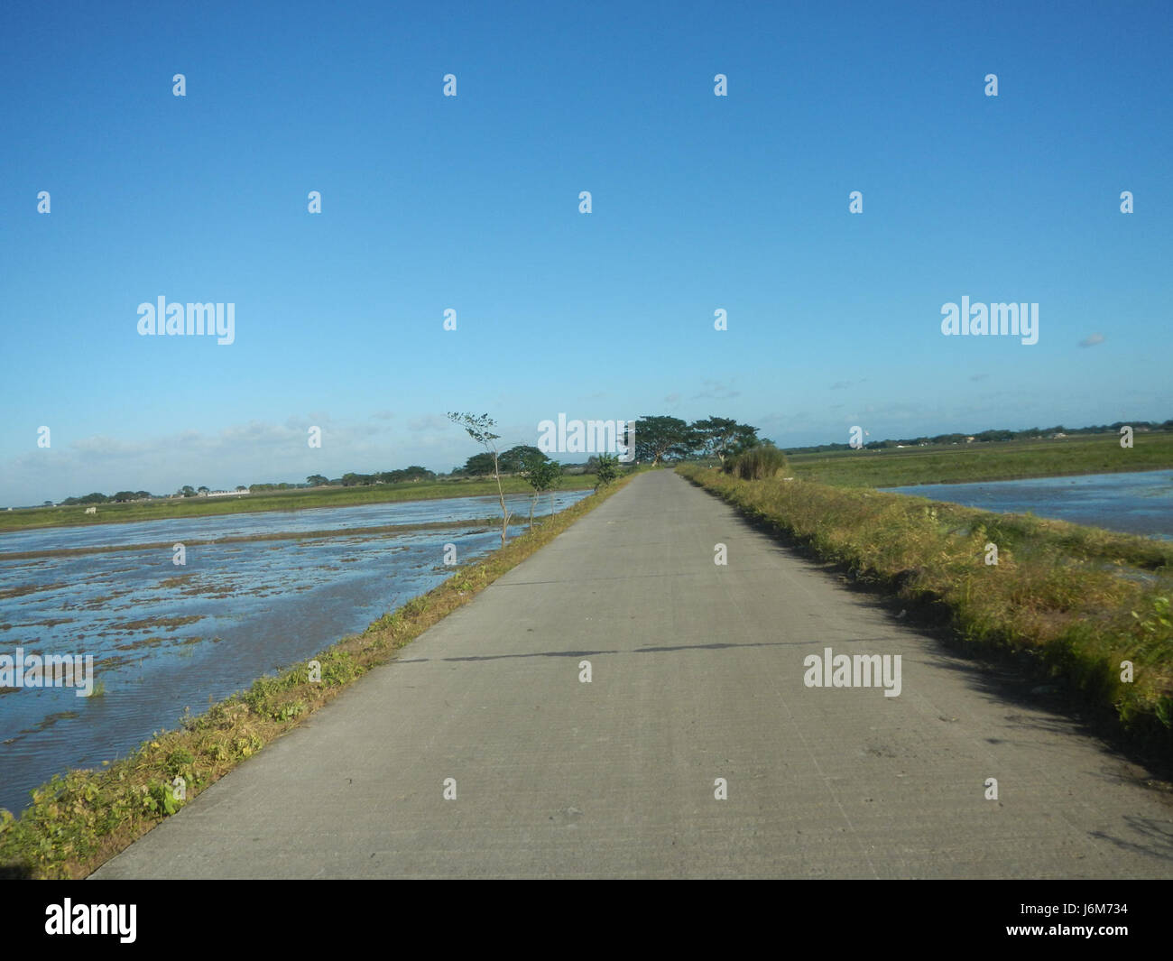 09178 Balucuc Apalit Pampanga paddy fields grasslands trees Roads 16 ...