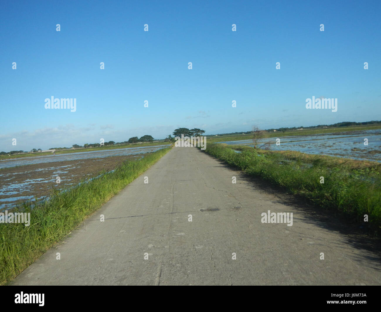 09178 Balucuc Apalit Pampanga paddy fields grasslands trees Roads 21 ...