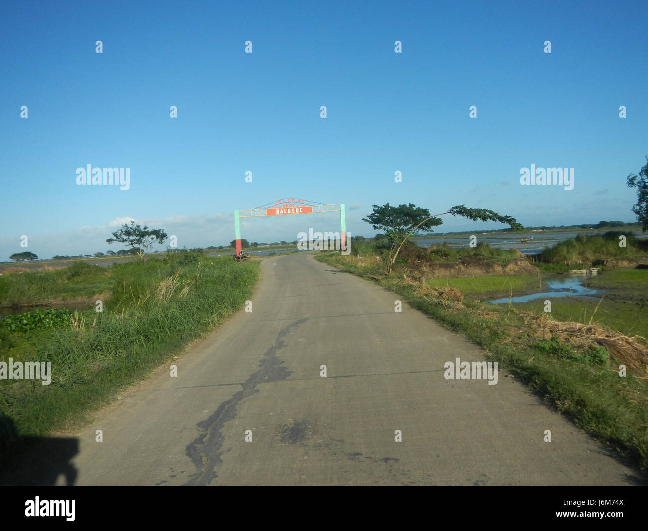The image depicts paddy fields in Cansinala, Apalit, Pampanga ...