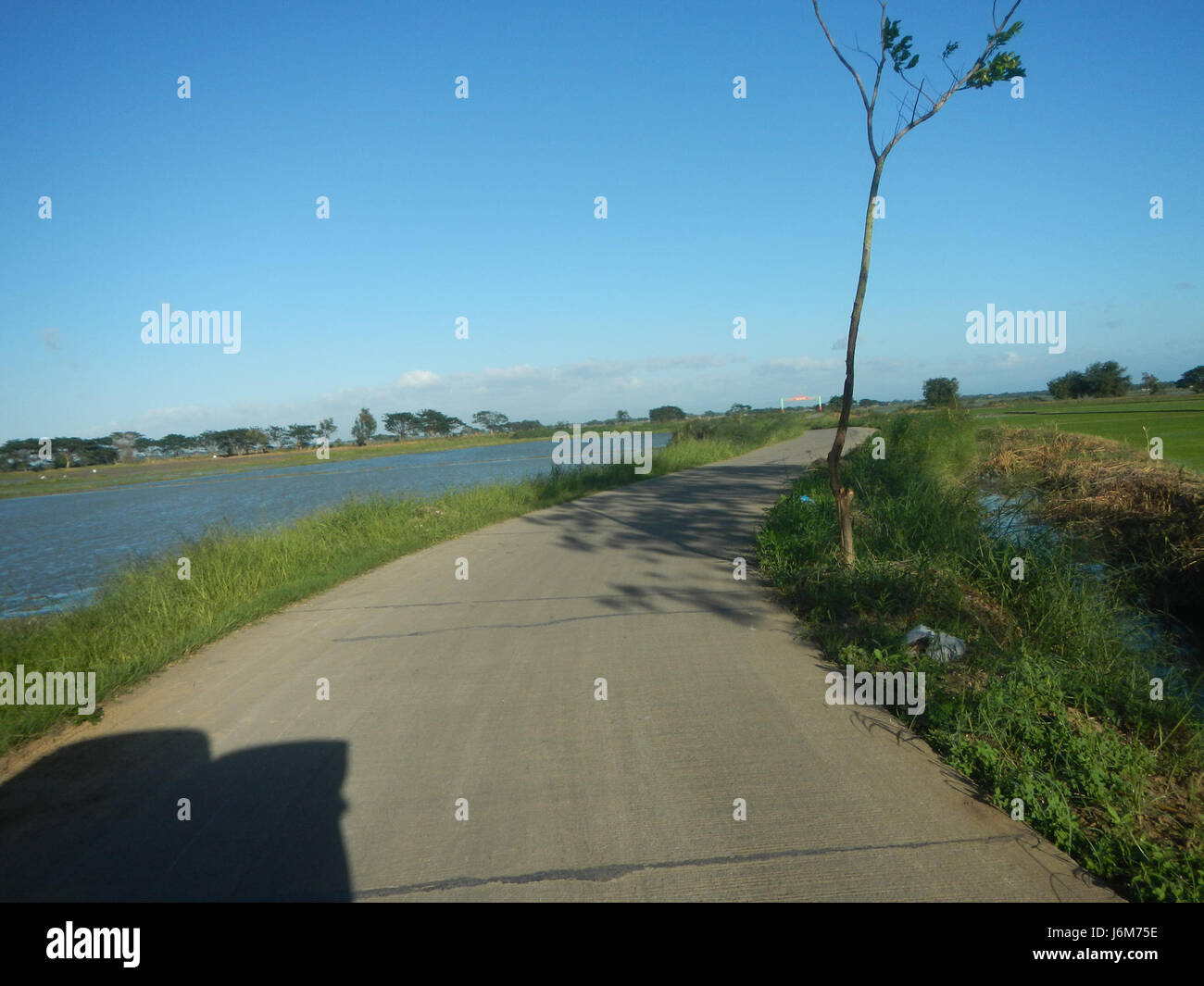 09238 Cansinala, Apalit, Pampanga paddy fields, grasslands, trees ...
