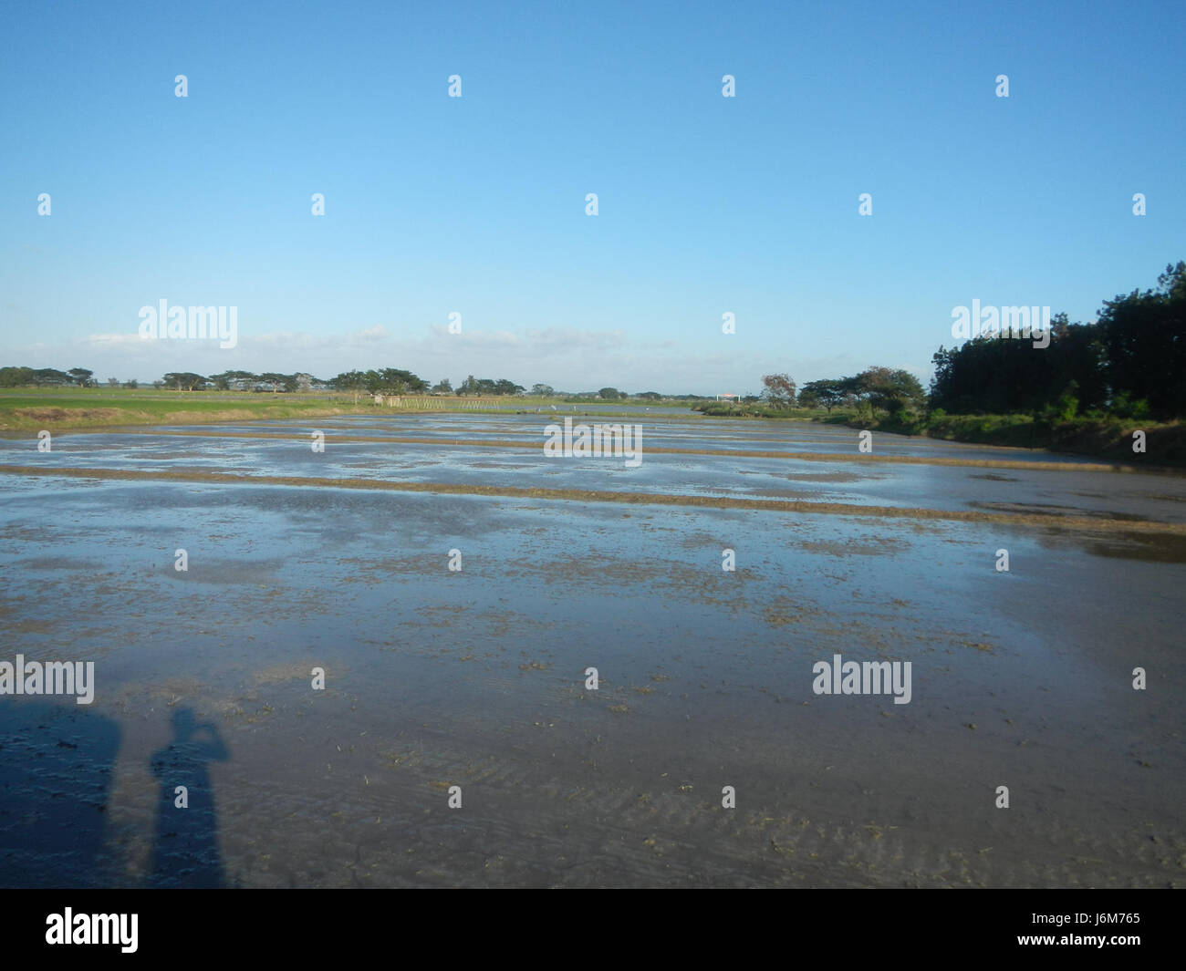 A map of Cansinala, Apalit, Pampanga, focusing on its paddy fields ...