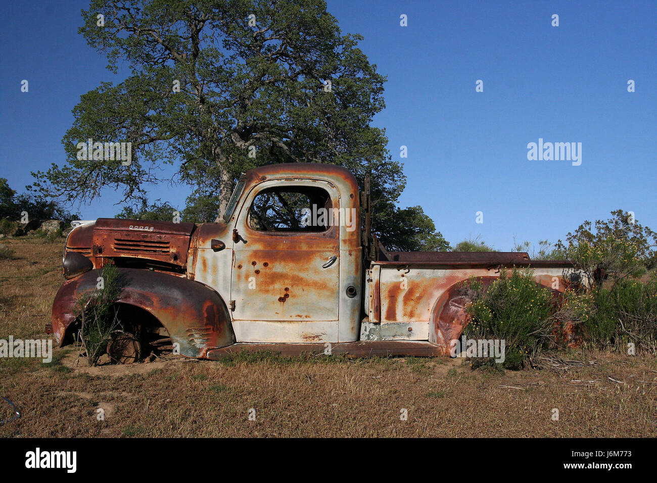 History of ranching hi-res stock photography and images - Alamy