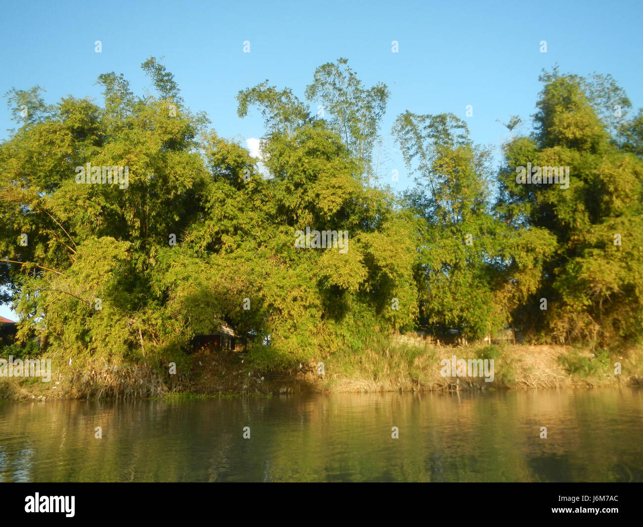 09448 Riverbanks of Cansinala, Apalit, Pampanga River District 04 Stock ...