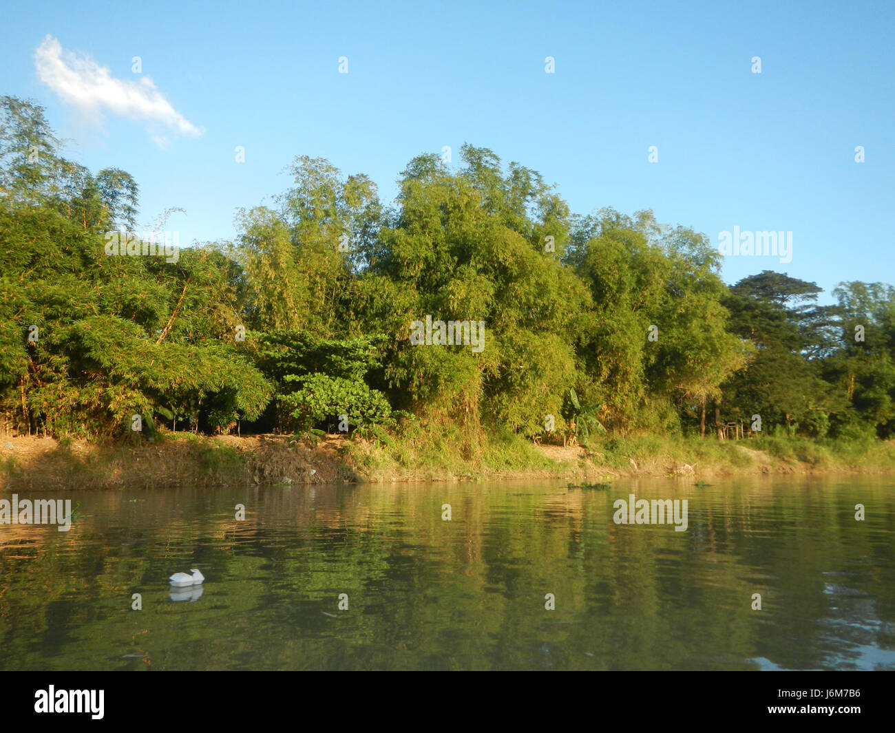 09448 Riverbanks of Cansinala, Apalit, Pampanga River District 23 Stock ...