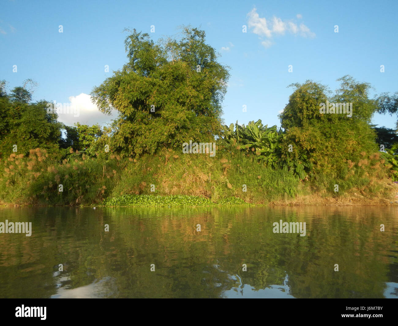 09473 Riverbanks of Cansinala, Apalit, Pampanga River District 16 Stock ...