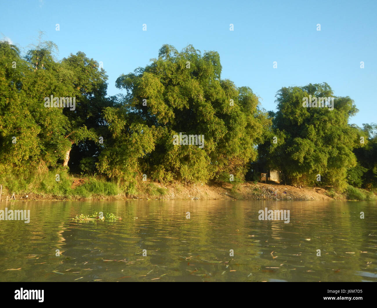 09498 Riverbanks of Cansinala, Apalit, Pampanga River District 22 Stock ...