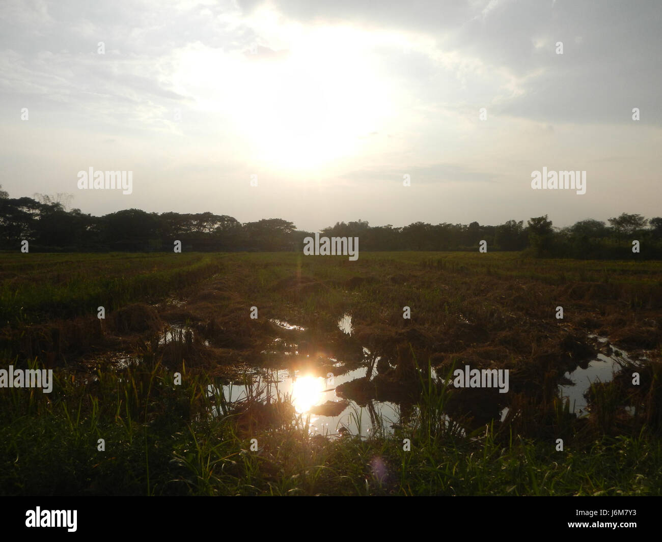 This image references the agricultural landscape of San Ildefonso ...