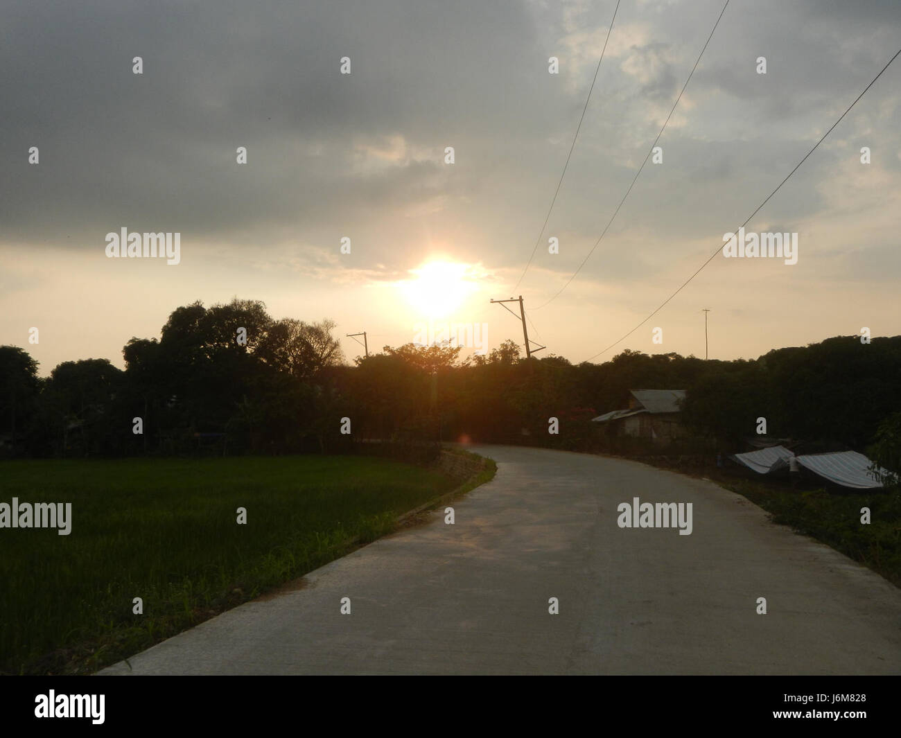 This image features the vast paddy fields and grasslands in San ...