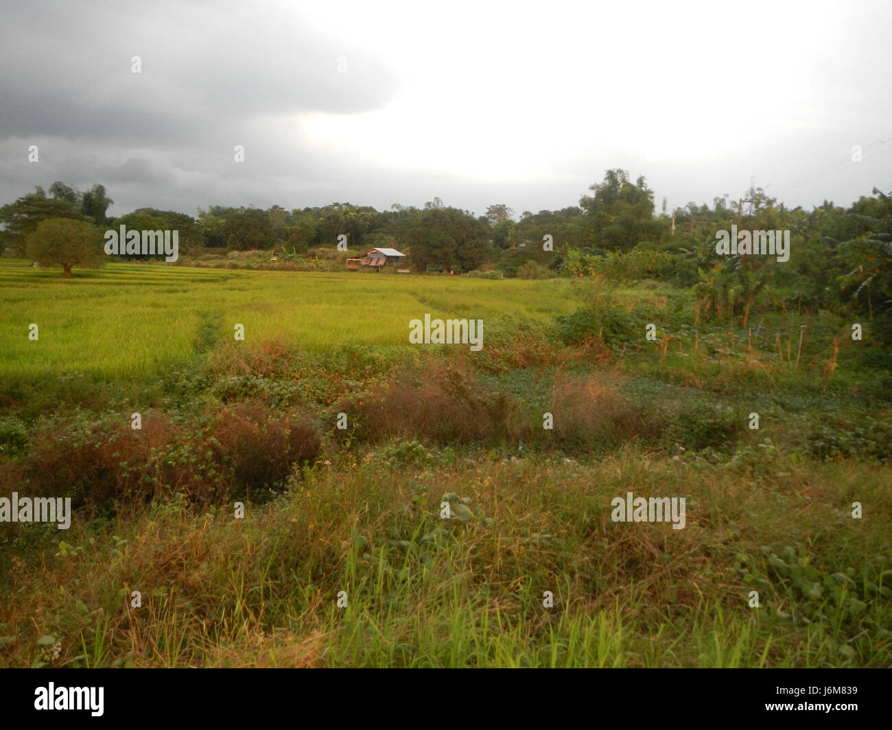 A geographical description of the San Ildefonso area in Bulacan ...
