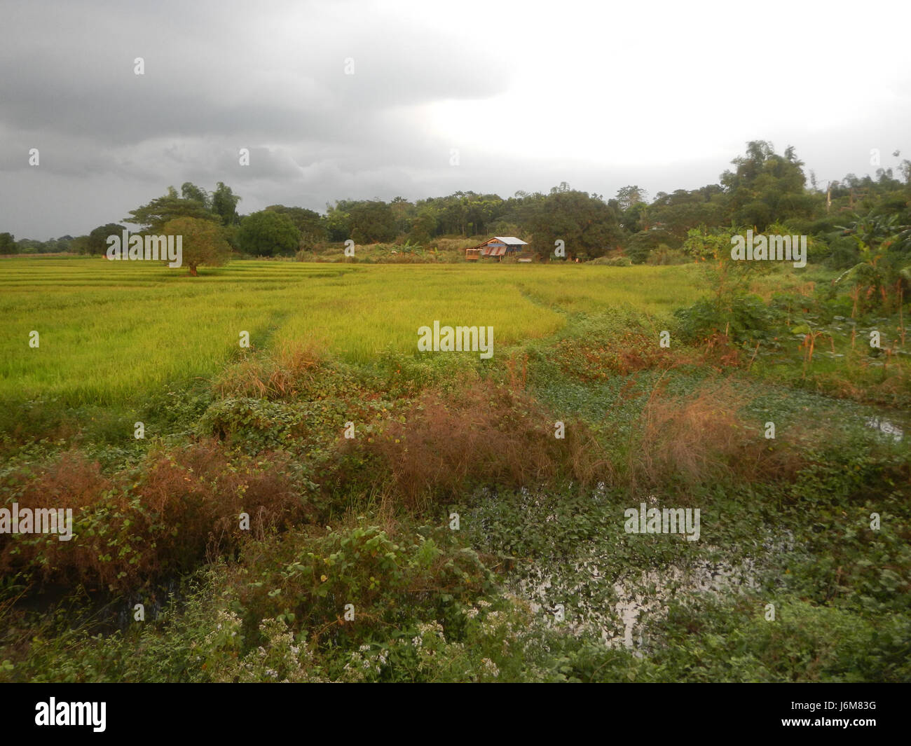 Photograph of the Bulacan Provincial Road in San Ildefonso, featuring ...