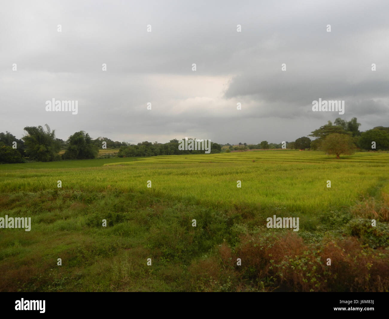 This photograph shows the rural landscape of San Ildefonso in Bulacan ...