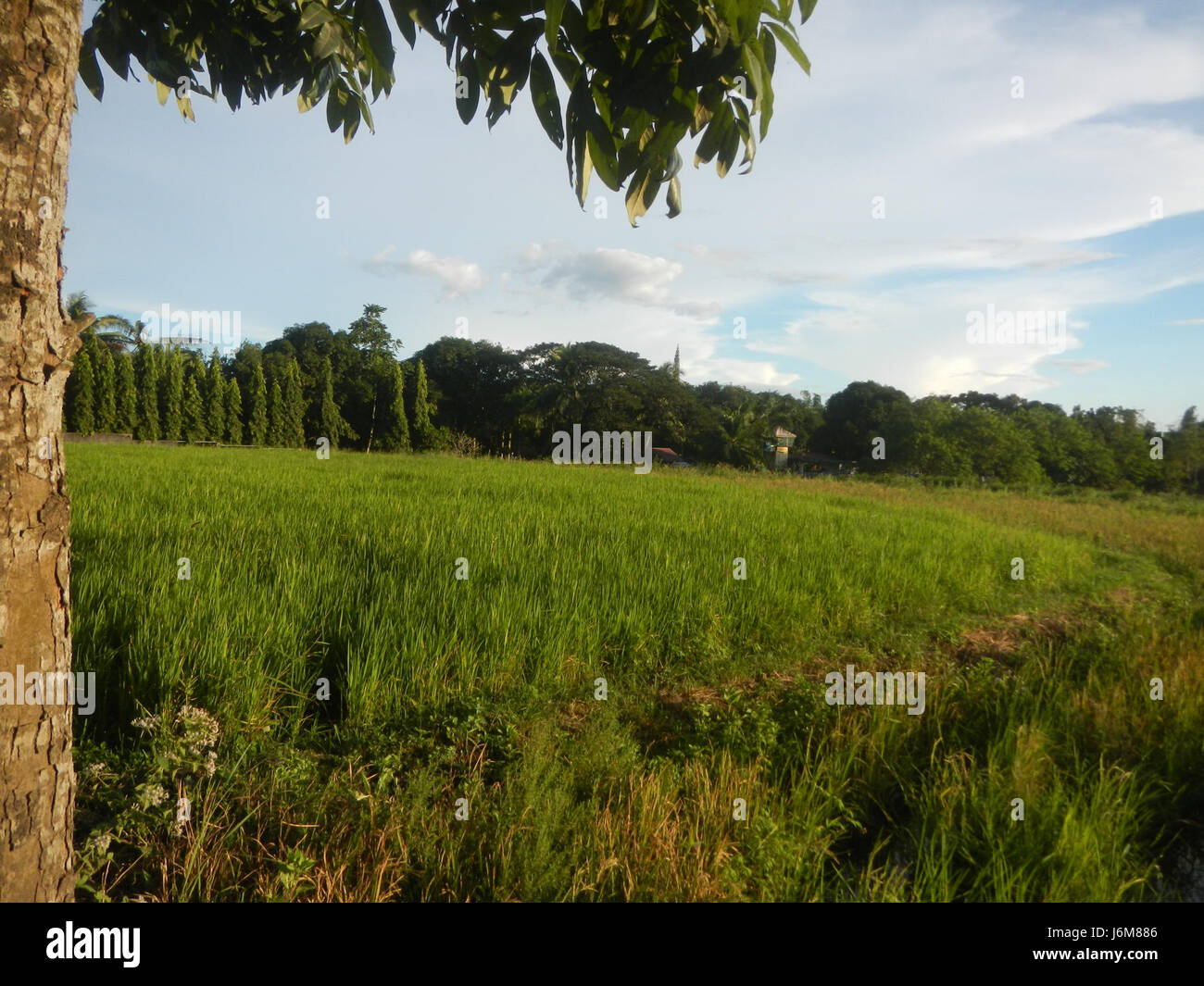 This scene depicts the agricultural fields in Gabihan, San Ildefonso ...