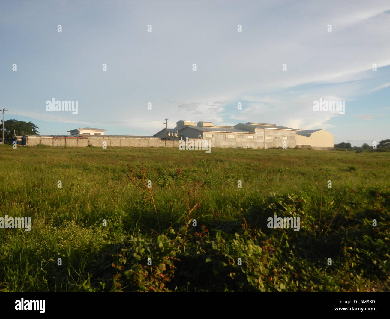 The image depicts the paddy fields and grasslands of Gabihan, San ...