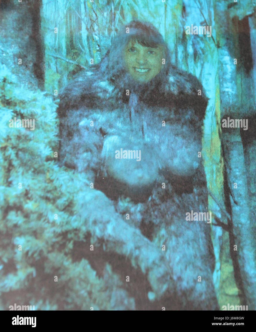 Chimineas hi-res stock photography and images - Alamy