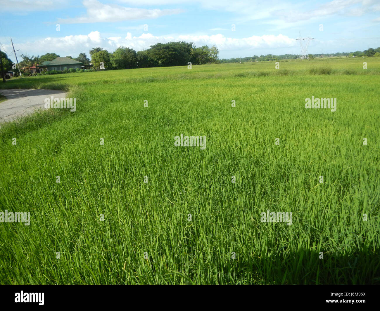 This image showcases the Cruz na Daan in the Mabalas Balas area of San ...