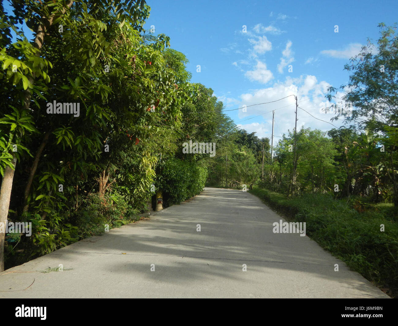 0601 Paddy fields Bagong Silang Ilog-Bulo San Miguel Bulacan Farm ...