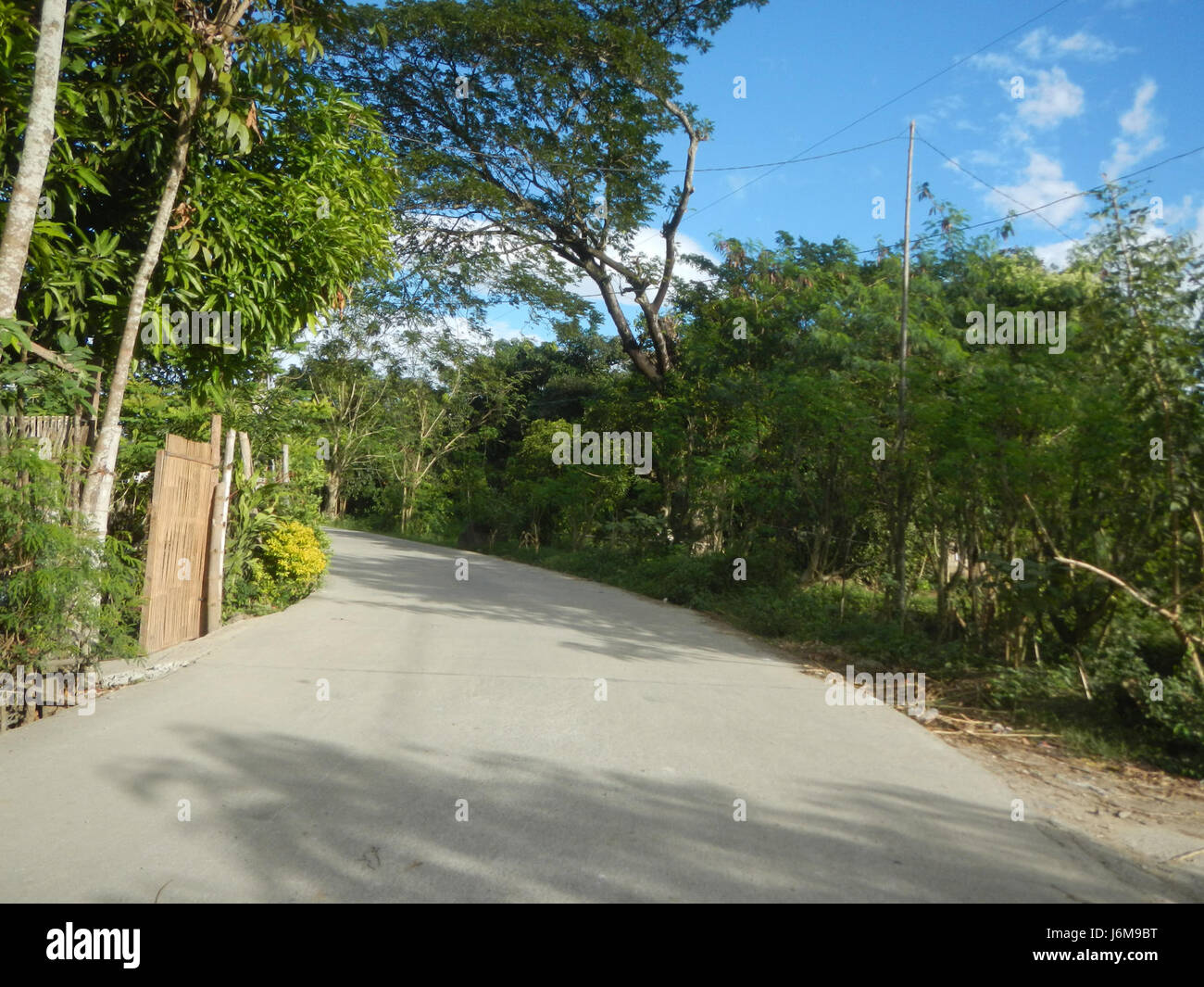 This image depicts the paddy fields and farm roads in San Miguel ...