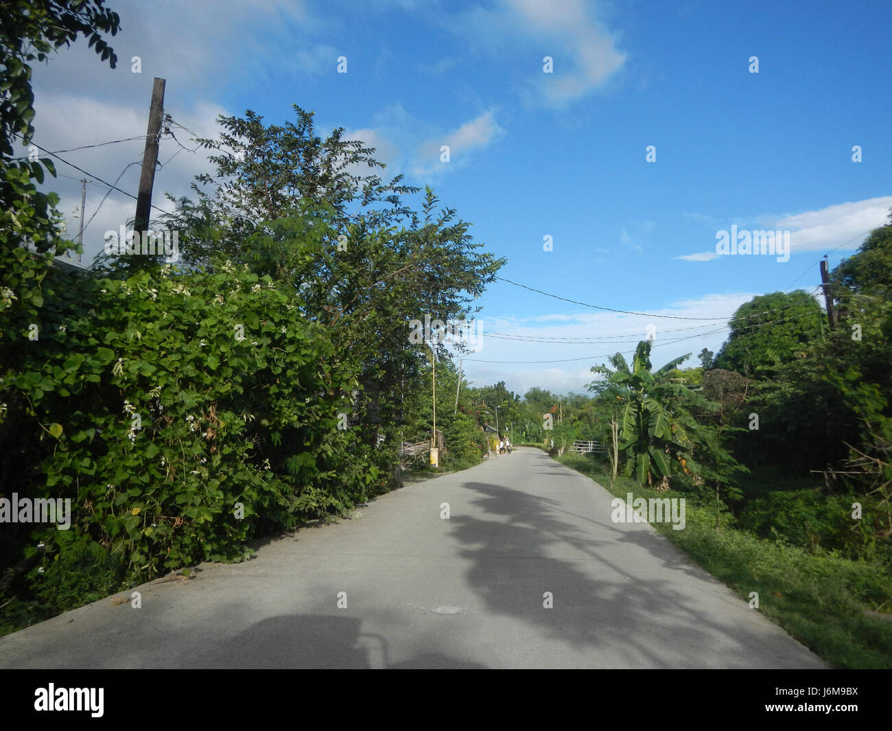 The paddy fields in Bagong Silang, Ilog-Bulo, San Miguel, Bulacan, are ...