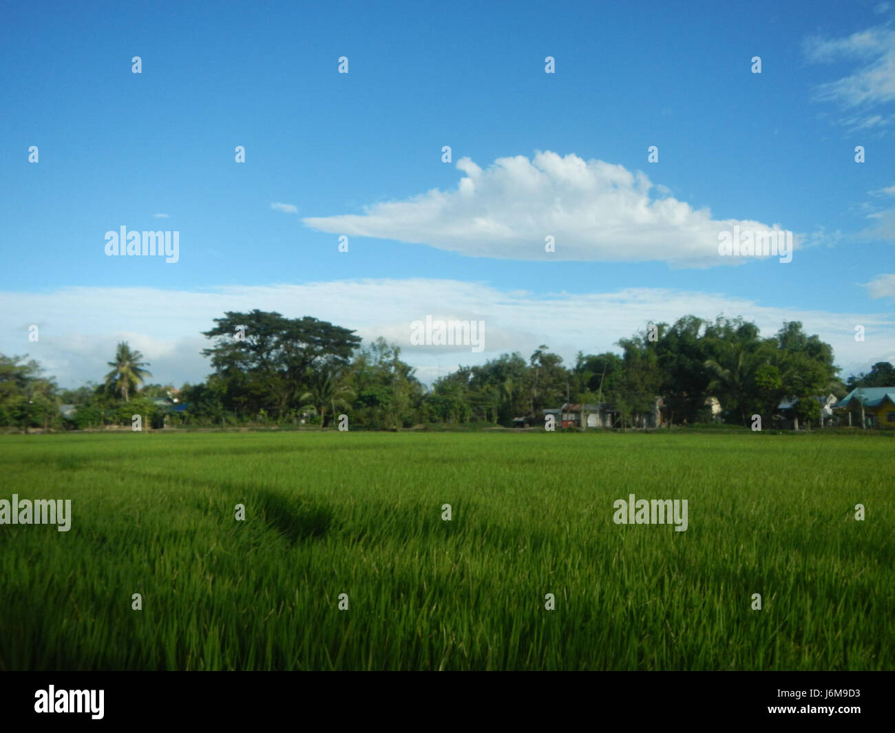 Bagong silang hi-res stock photography and images - Alamy