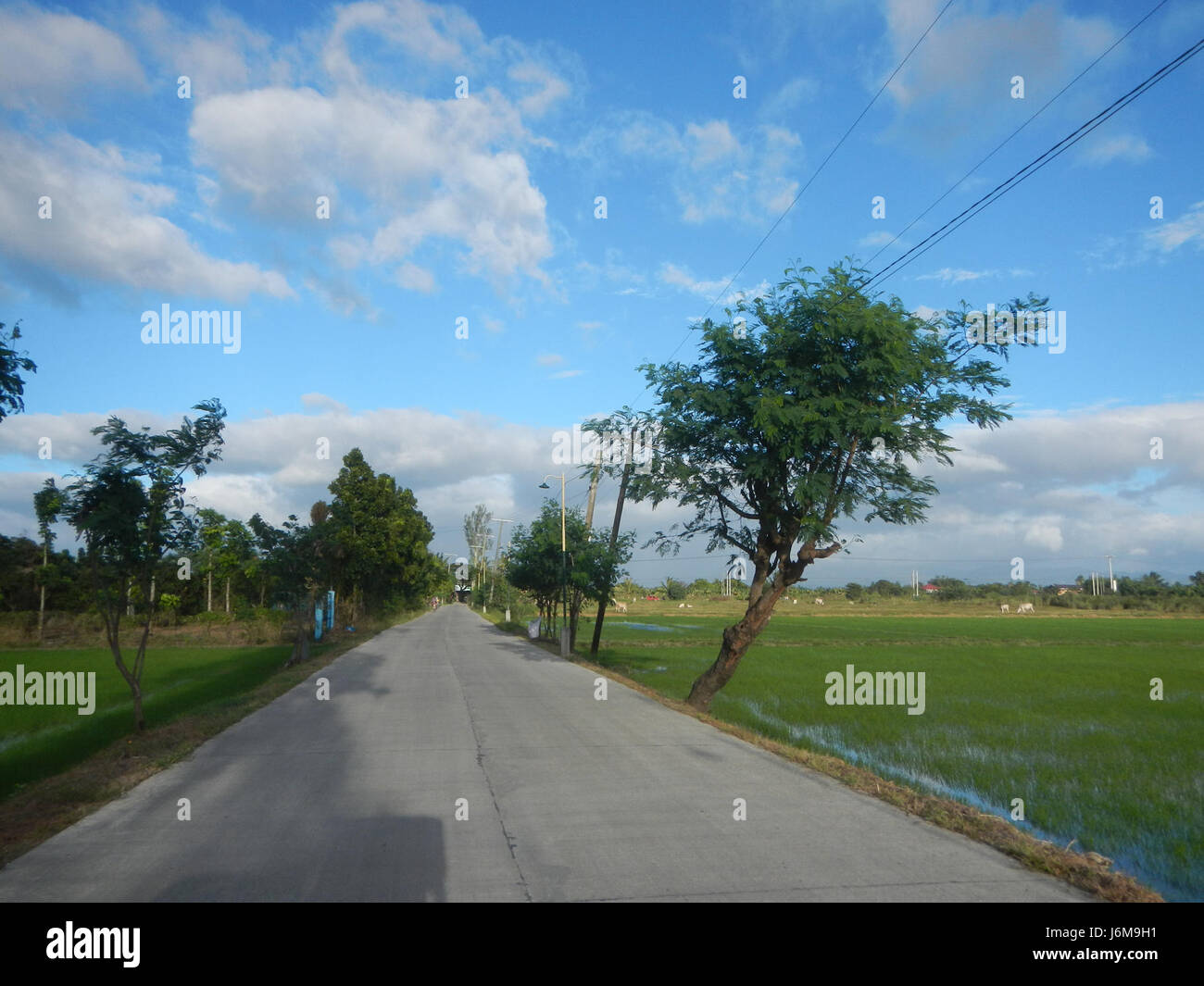 Bagong Pagasa High Resolution Stock Photography and Images - Alamy