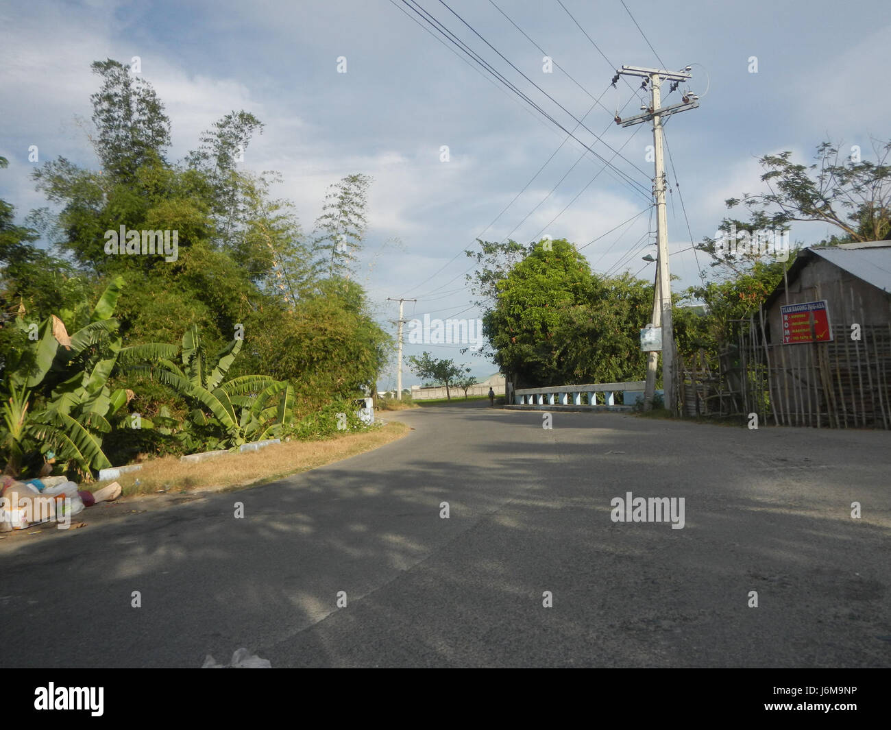0785 Paddy fields Grasslands Sumacab Sur Norte, Cabanatuan City 12 ...