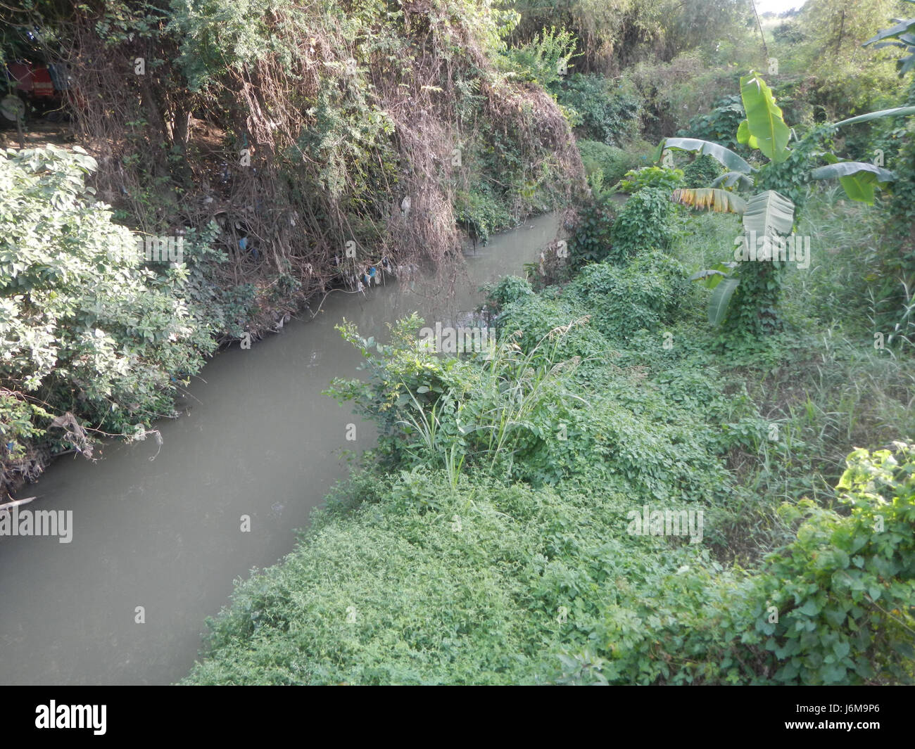 A photograph of the paddy fields and grasslands located in Sumacab Sur ...
