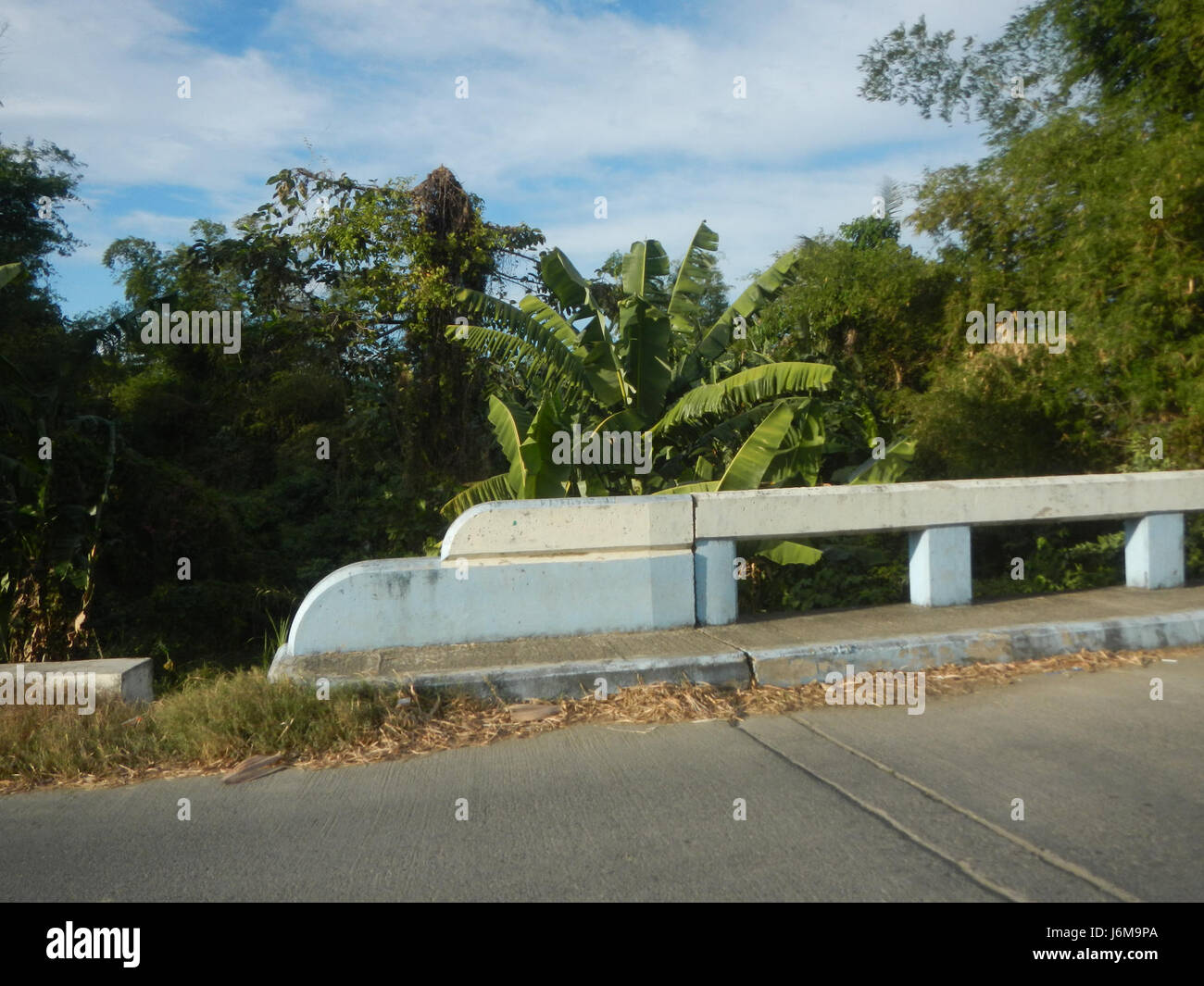 This image shows paddy fields and grasslands in Sumacab Sur Norte ...