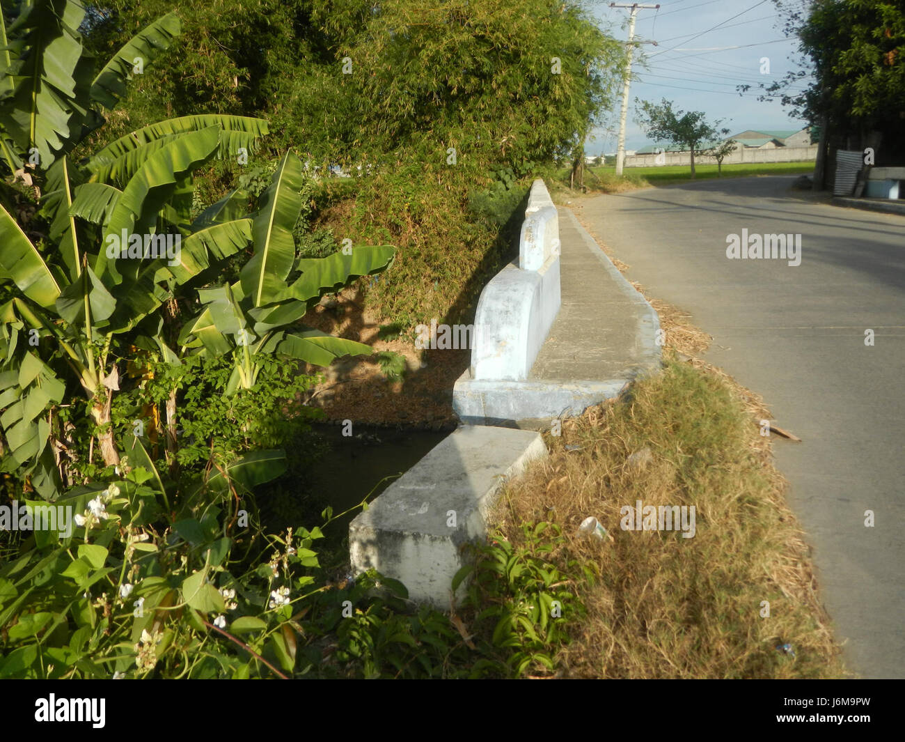 0809 Paddy fields Grasslands Sumacab Sur Norte, Cabanatuan City 18 ...