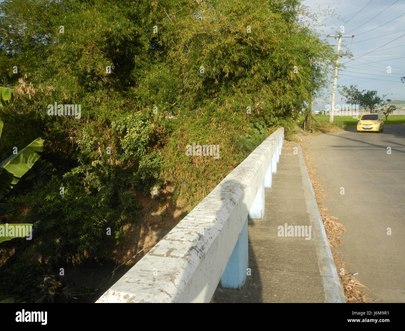 0809 Paddy fields Grasslands Sumacab Sur Norte, Cabanatuan City 21 ...