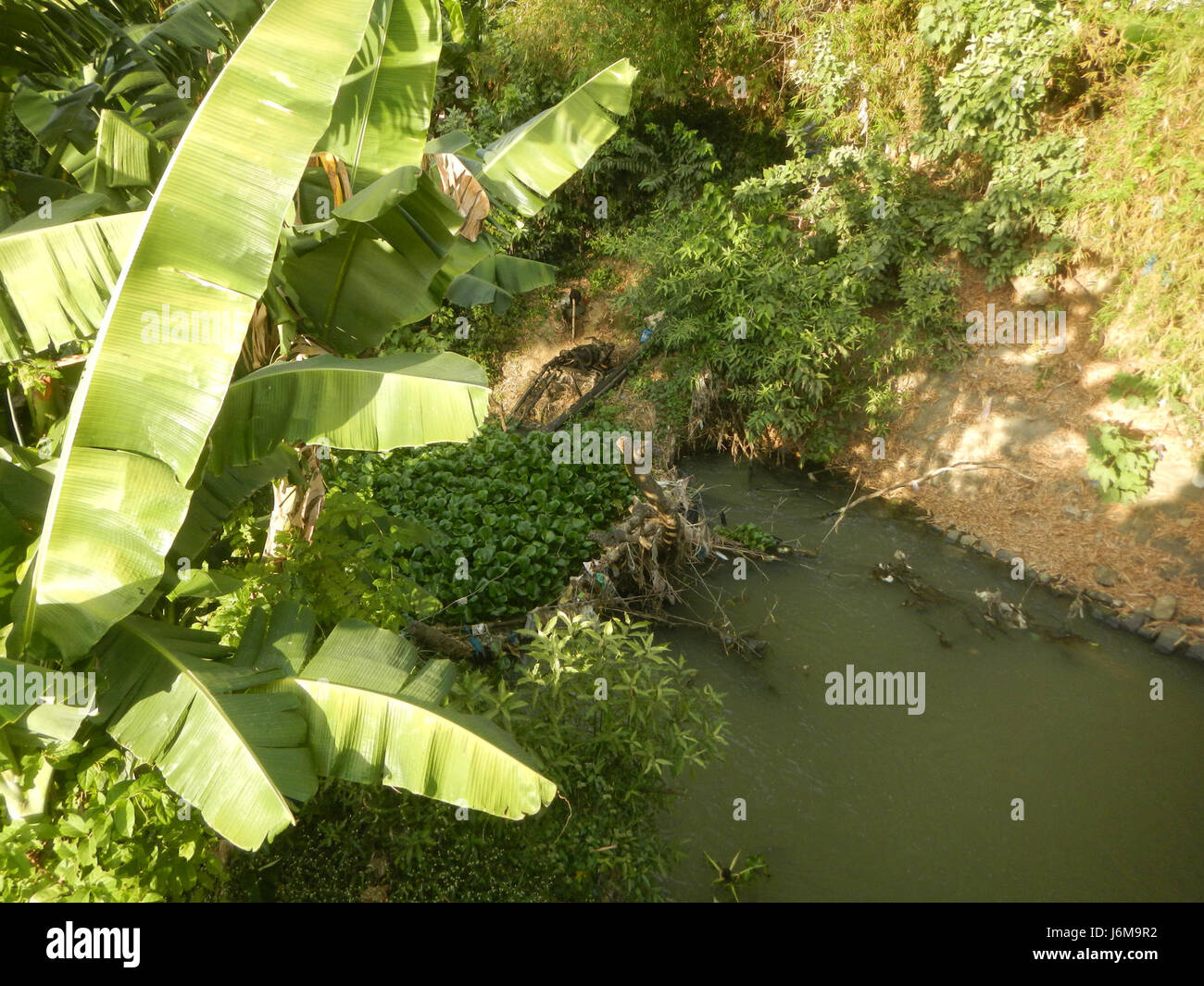 0809 Paddy fields Grasslands Sumacab Sur Norte, Cabanatuan City 22 ...