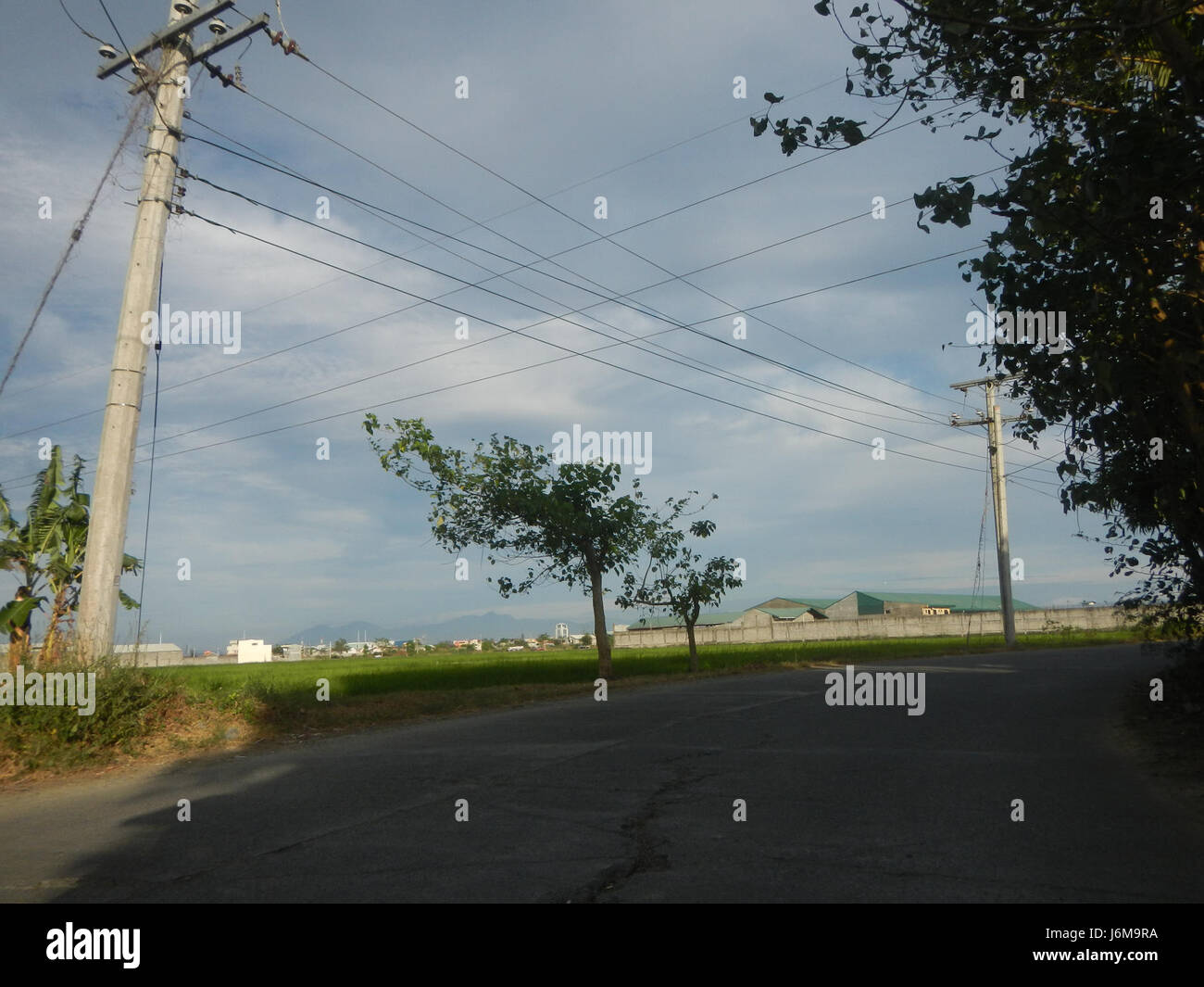 0834 Paddy fields Grasslands Sumacab Sur Norte, Cabanatuan City 04 ...