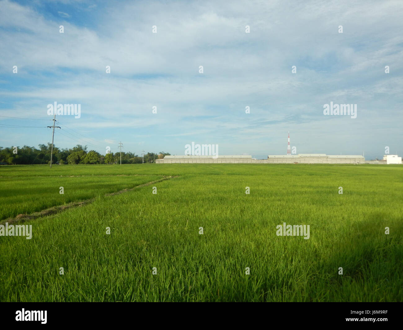 This image refers to paddy fields and grasslands in Sumacab Sur Norte ...