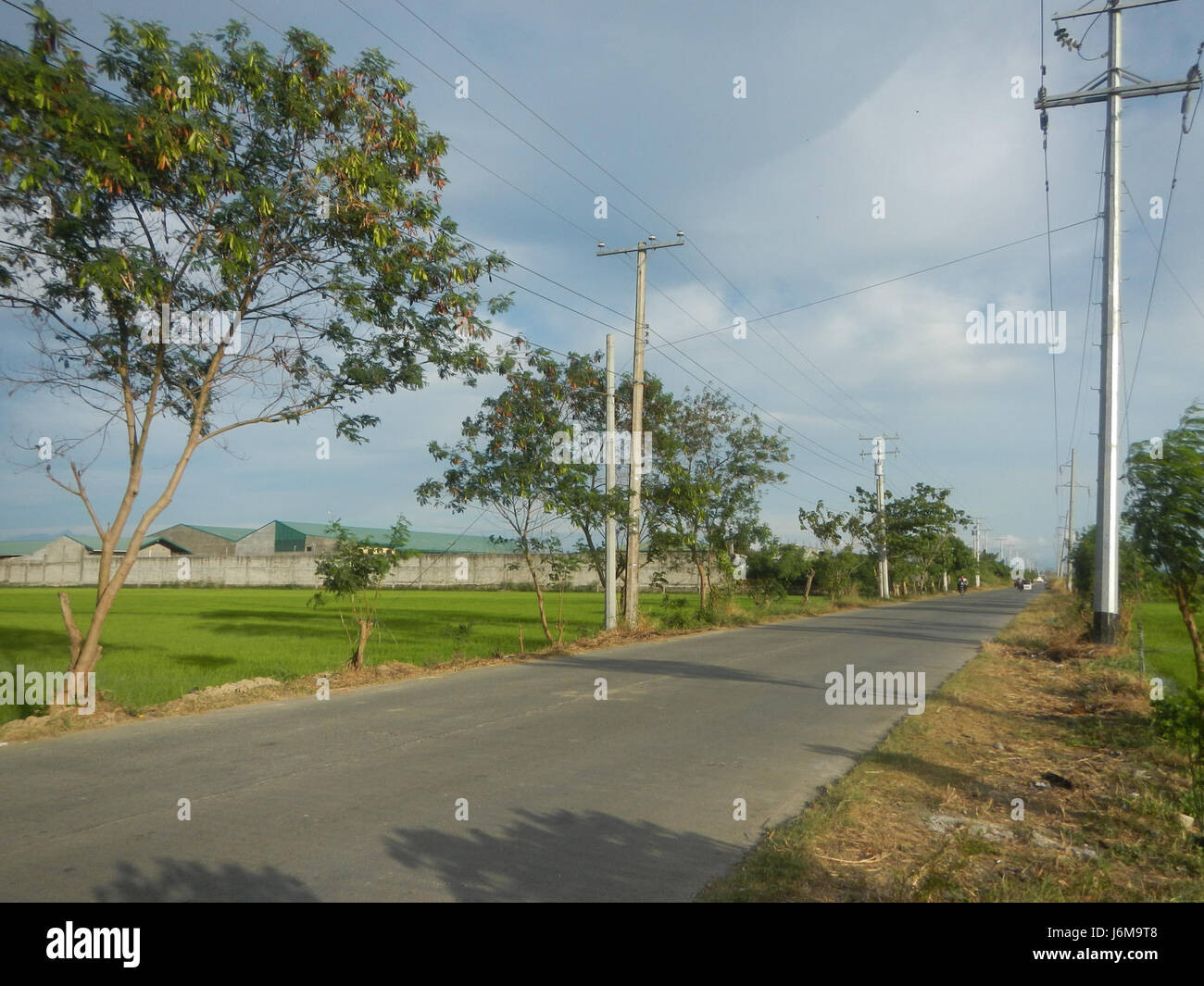 0859 Paddy fields Grasslands Sumacab Sur Norte, Cabanatuan City 02 ...