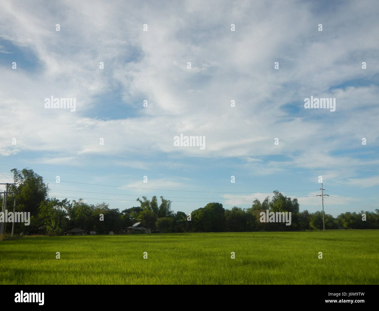 This image showcases the expansive paddy fields and grasslands in ...