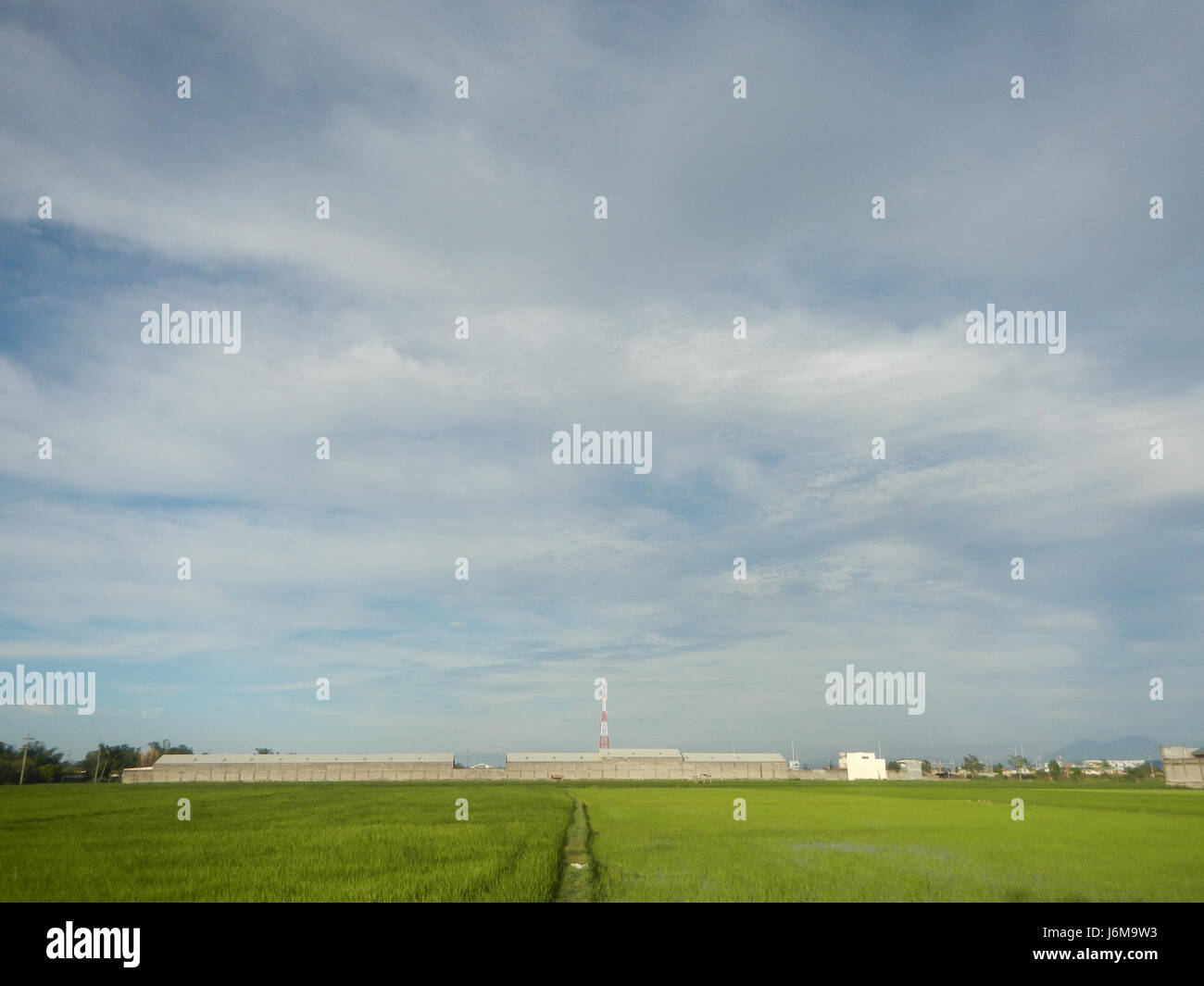 A photograph of paddy fields and grasslands in Sumacab Sur Norte ...