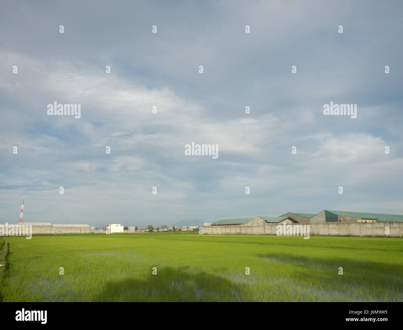 This image likely depicts the agricultural landscape of Sumacab Sur ...