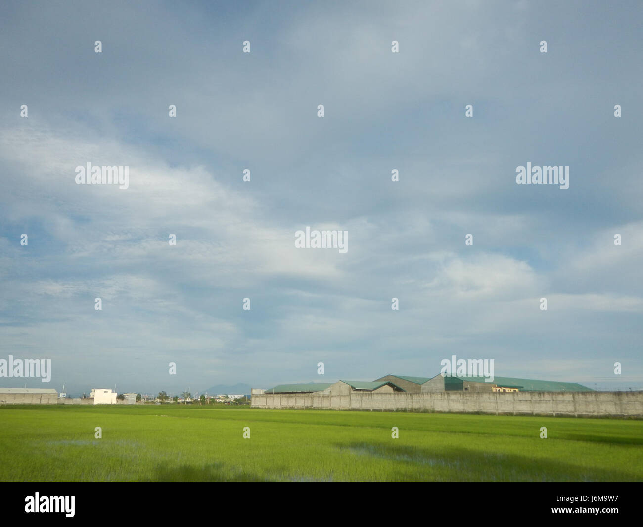 0859 Paddy fields Grasslands Sumacab Sur Norte, Cabanatuan City 24 ...