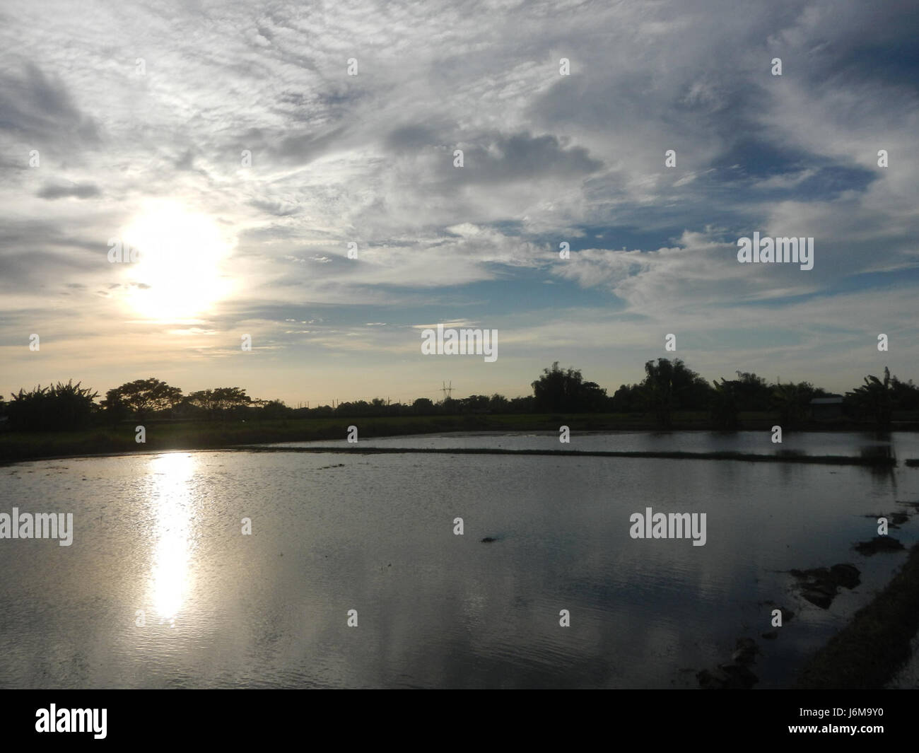 0909 Paddy fields Grasslands Sumacab Sur Norte, Cabanatuan City 17 ...